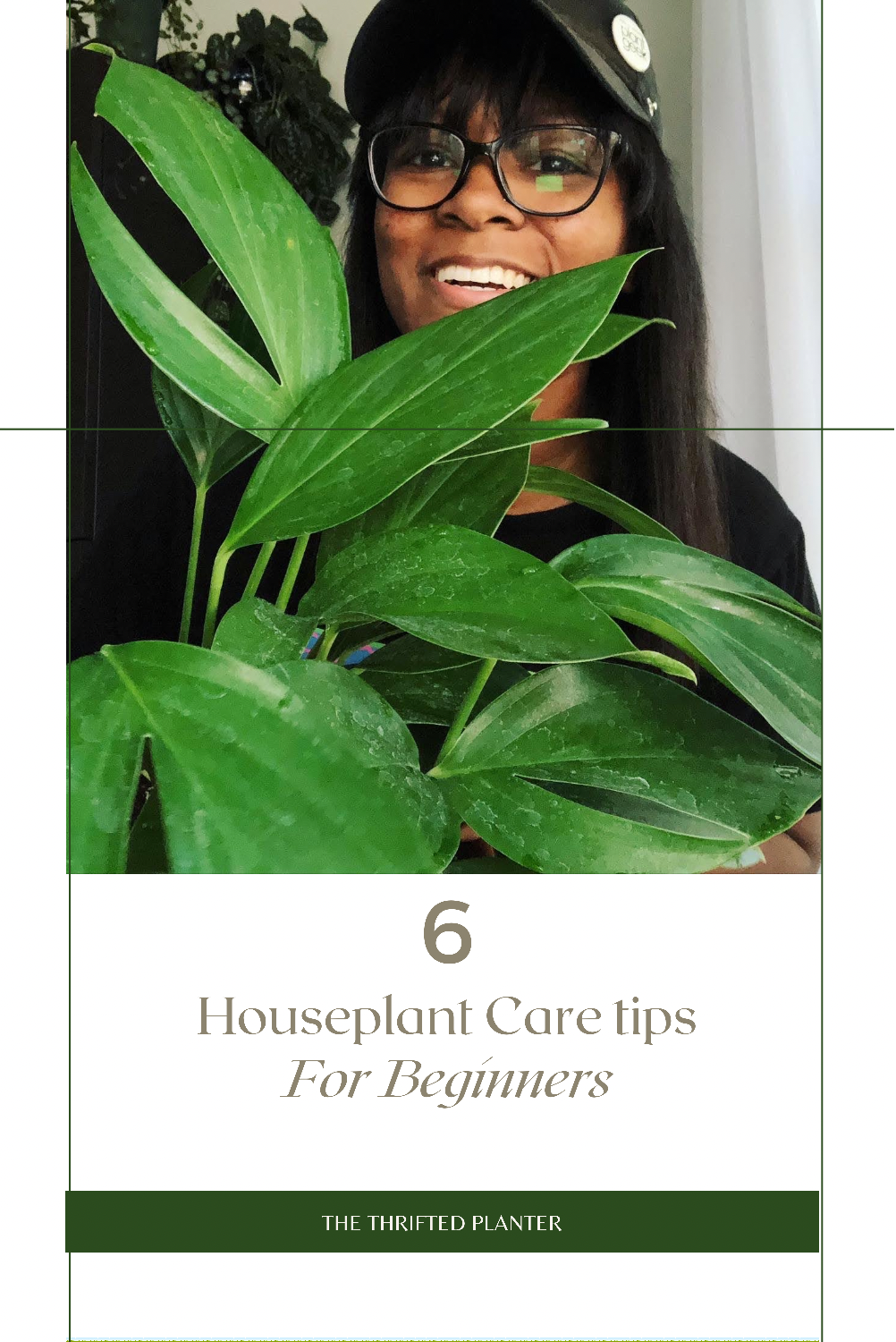 Beginner Houseplant Care Tips The Thrifted Planter