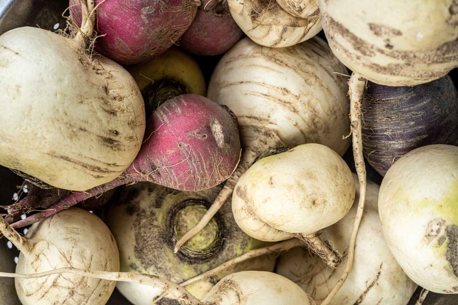 Frost Tolerant Vegetables to Grow early Spring