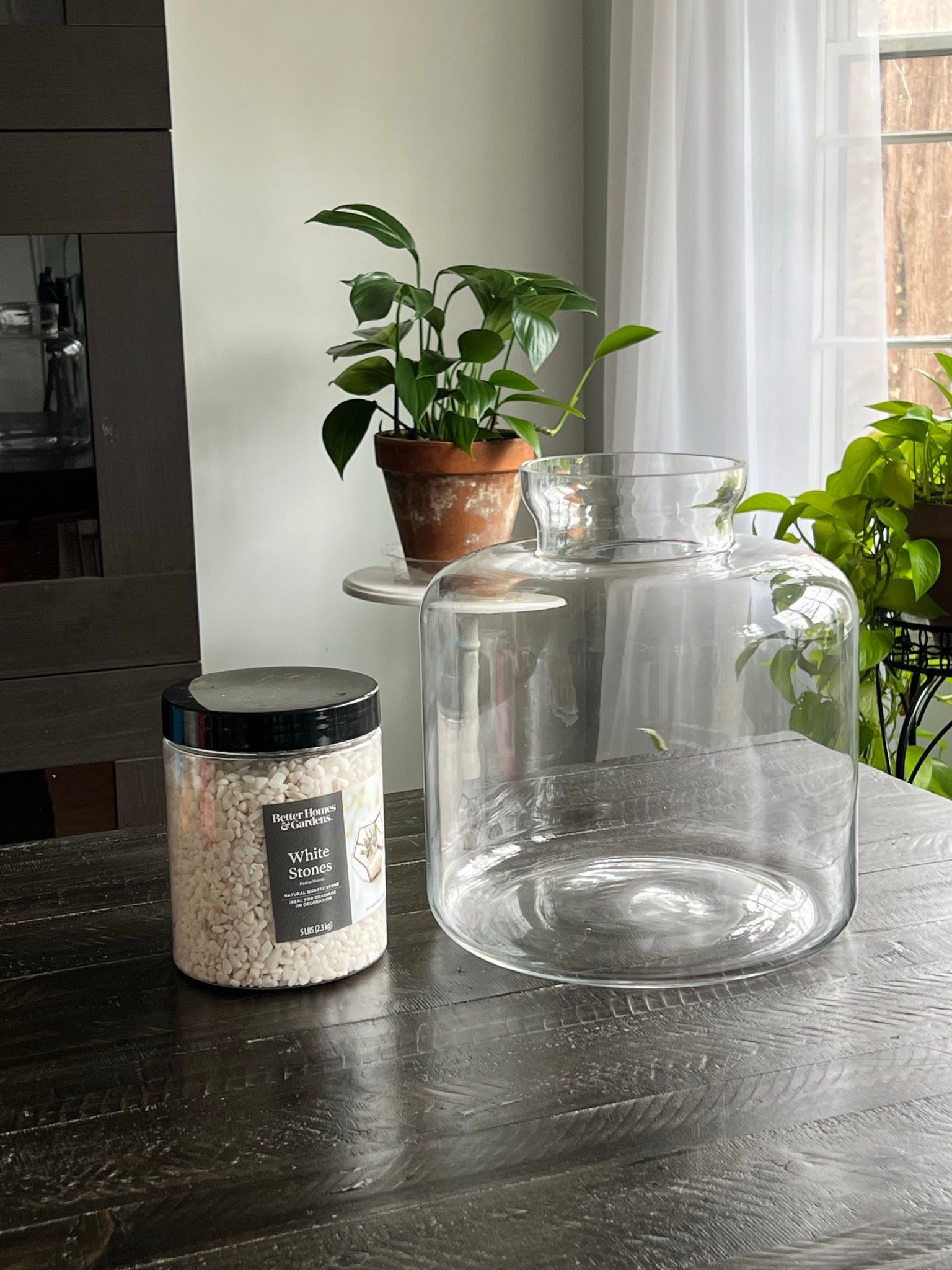 How to Create a Closed Terrarium