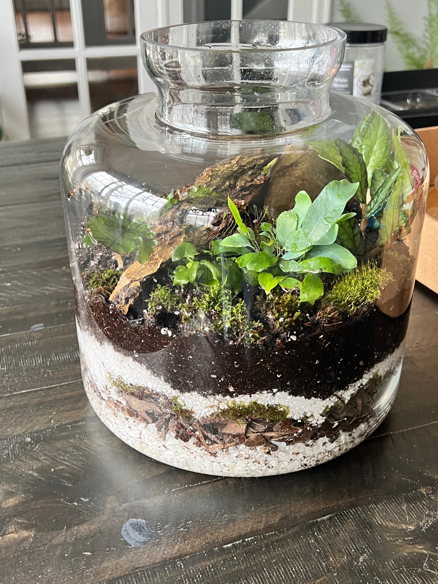 How to Create a Closed Terrarium