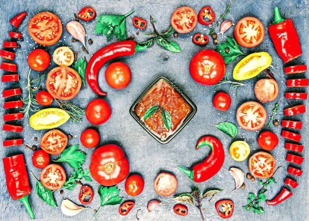 Grow your Salsa garden easy!