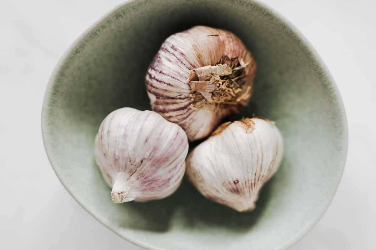How to Grow Garlic - The Thrifted Planter