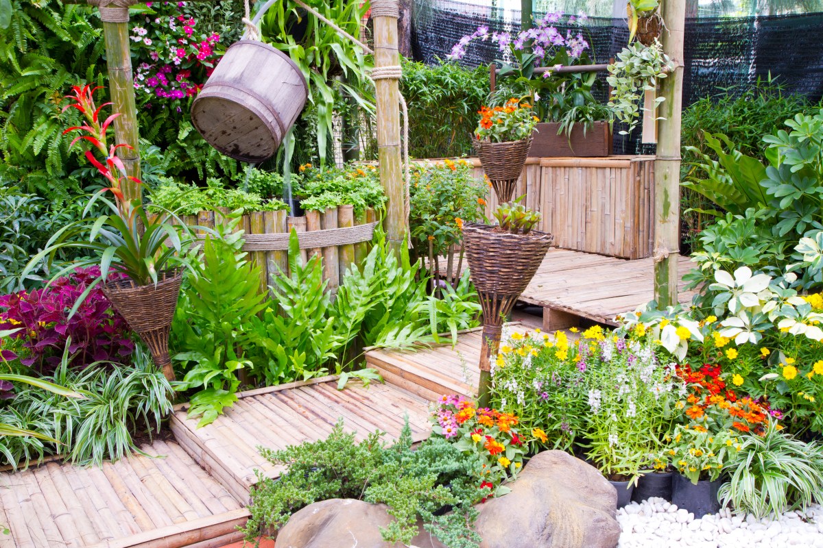 9 Plants that make your garden a Tropical Paradise