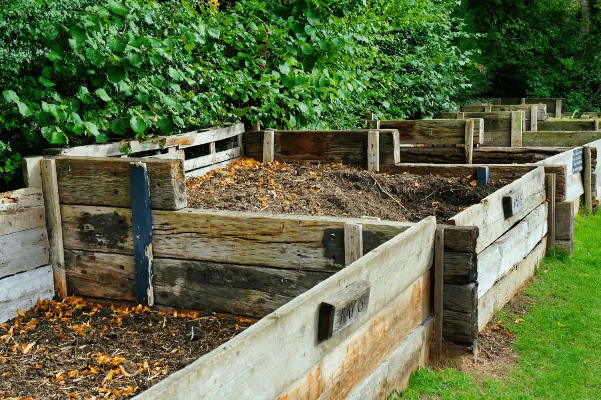 Where to place a compost bin? Best Composting Guide