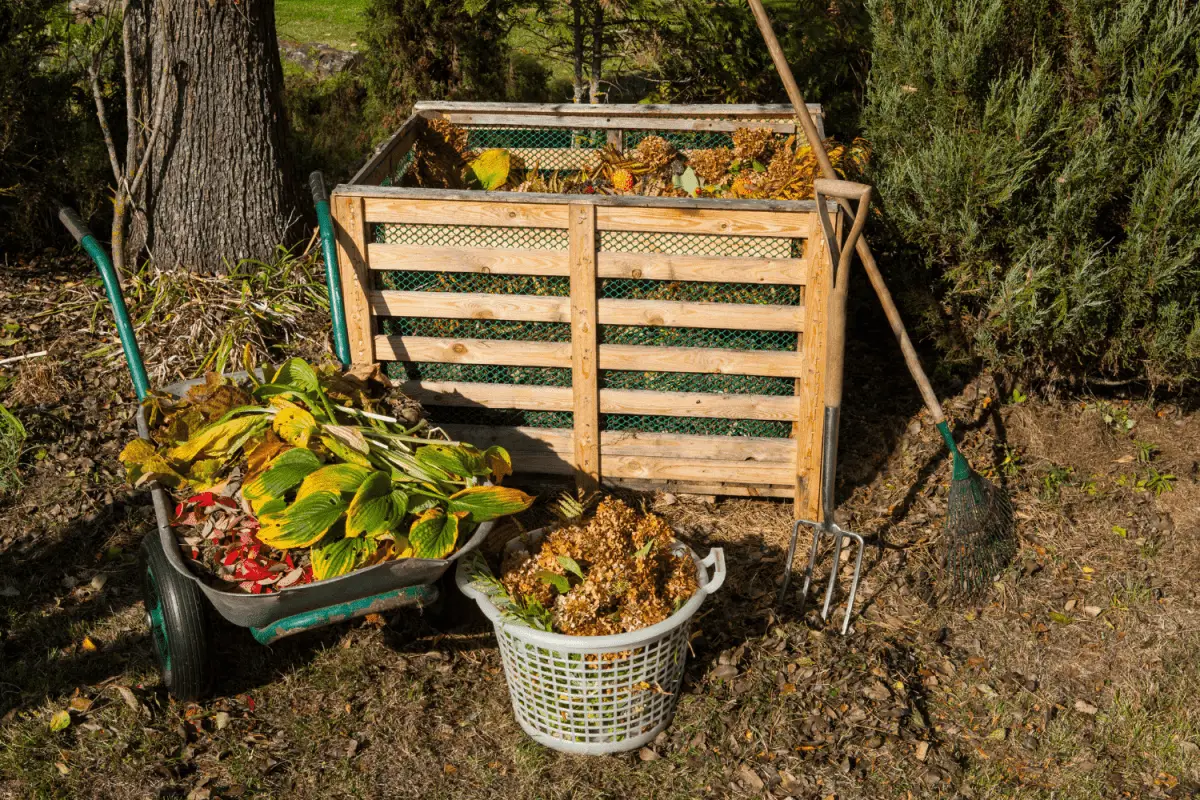 Where to place a compost bin? Best Composting Guide