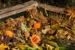 Where to place a compost bin? Best Composting Guide