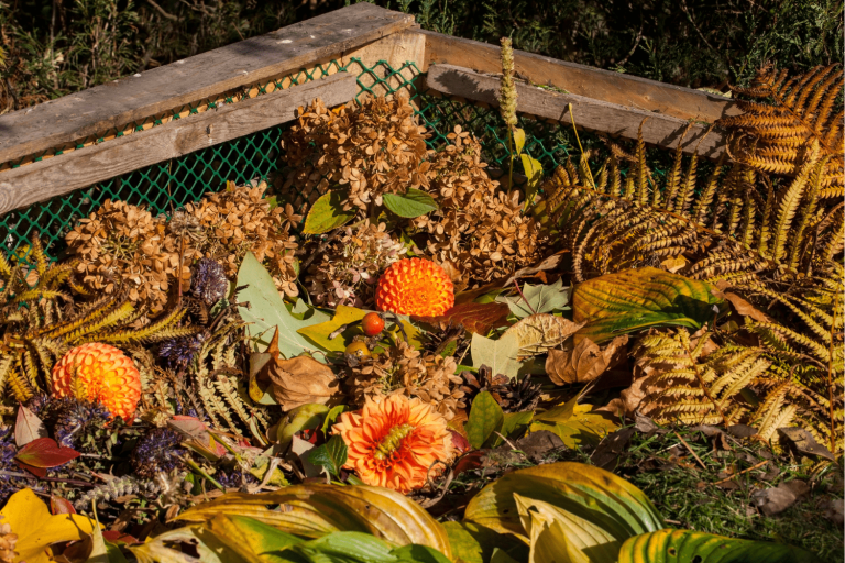 Where to place a compost bin? Best Composting Guide