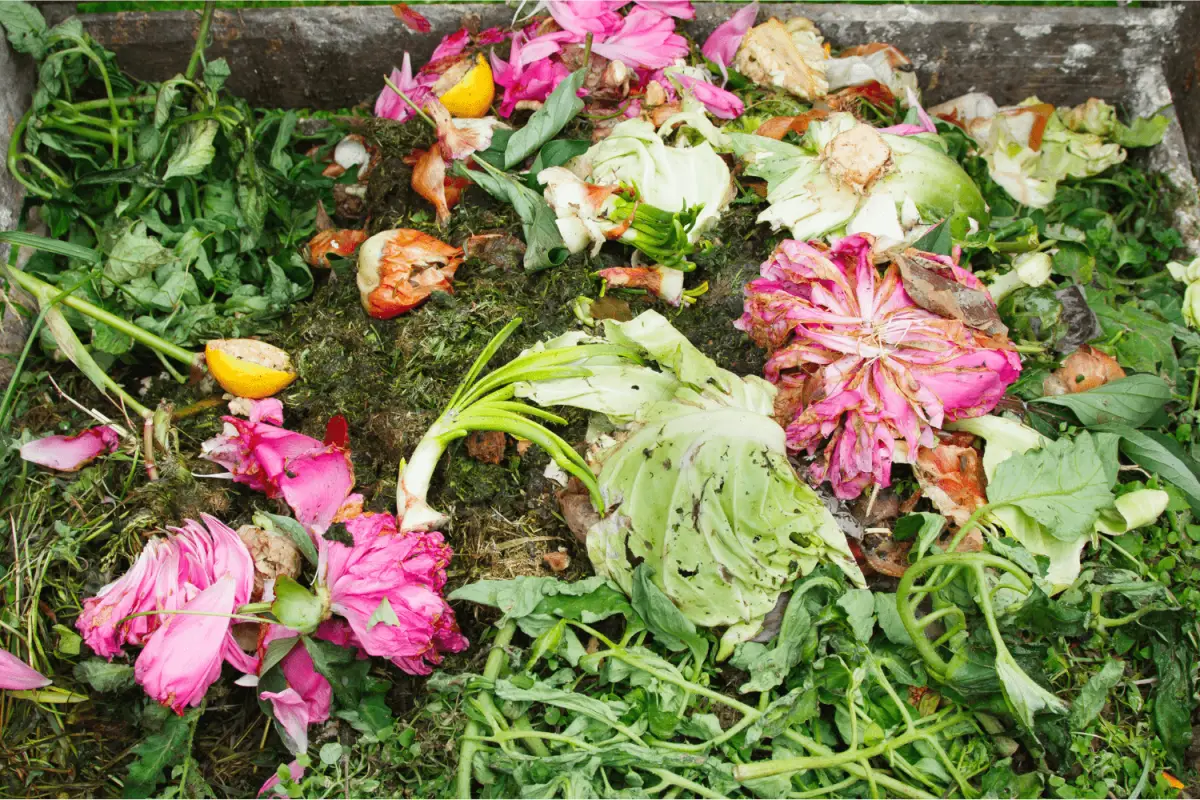 Where to place a compost bin? Best Composting Guide