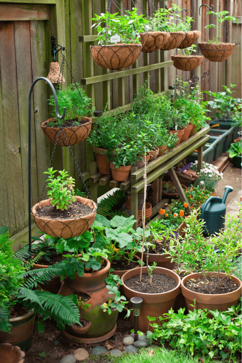 Small Space Gardening Ideas + 50 Small Plants