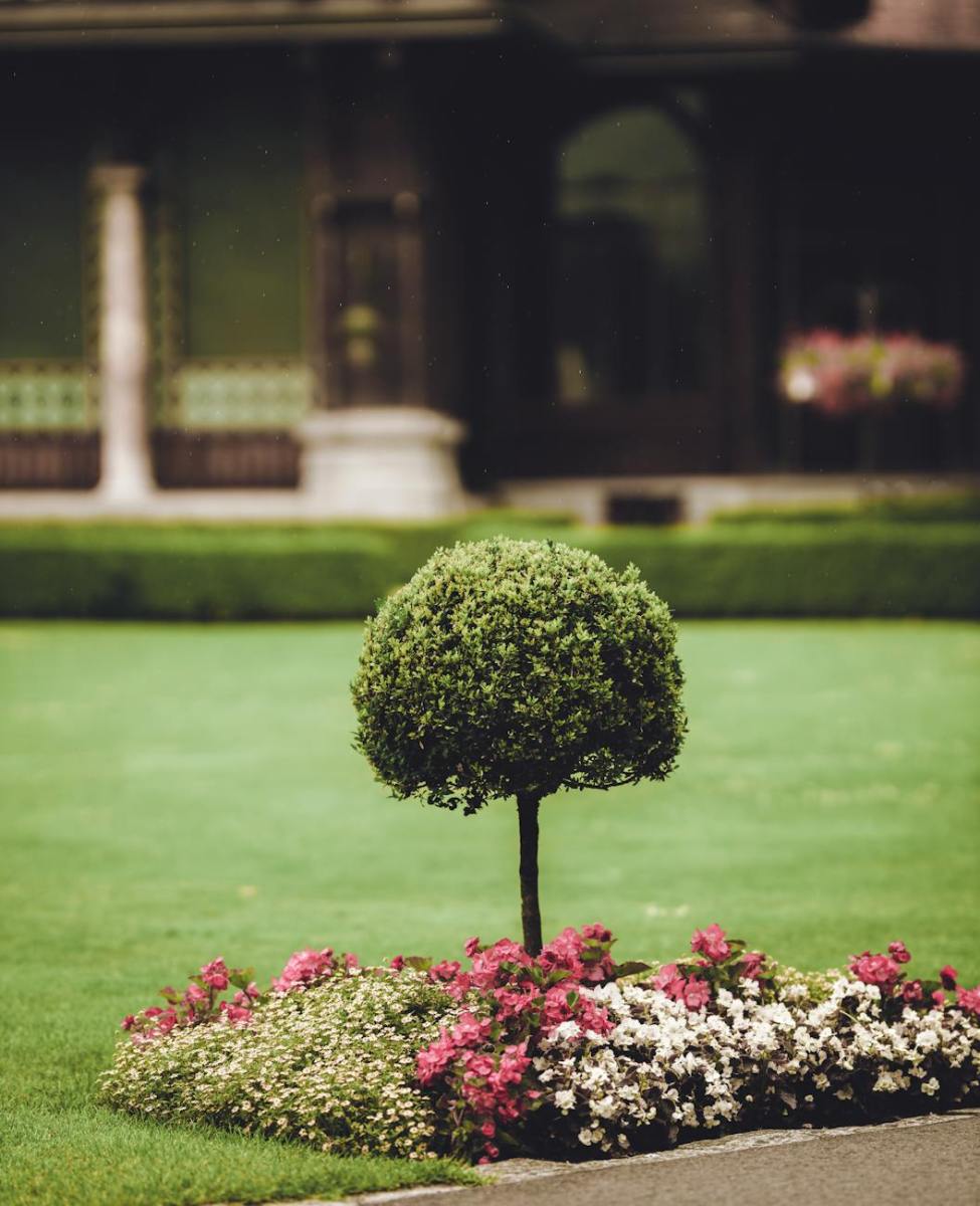 Best Fertilizer for Fall