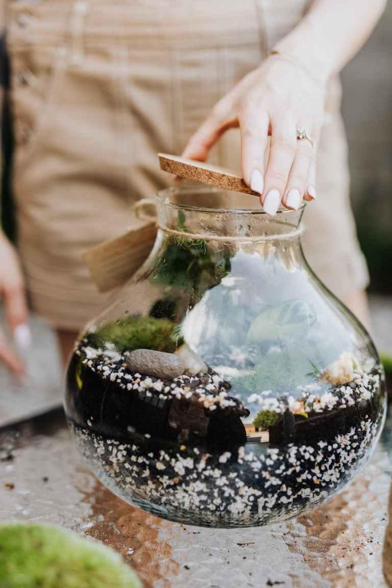 The Best Terrarium Soil for Amazing Terrariums!