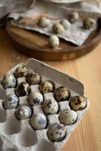 Hatching Quail Eggs Successfully: A Beginner’s Guide